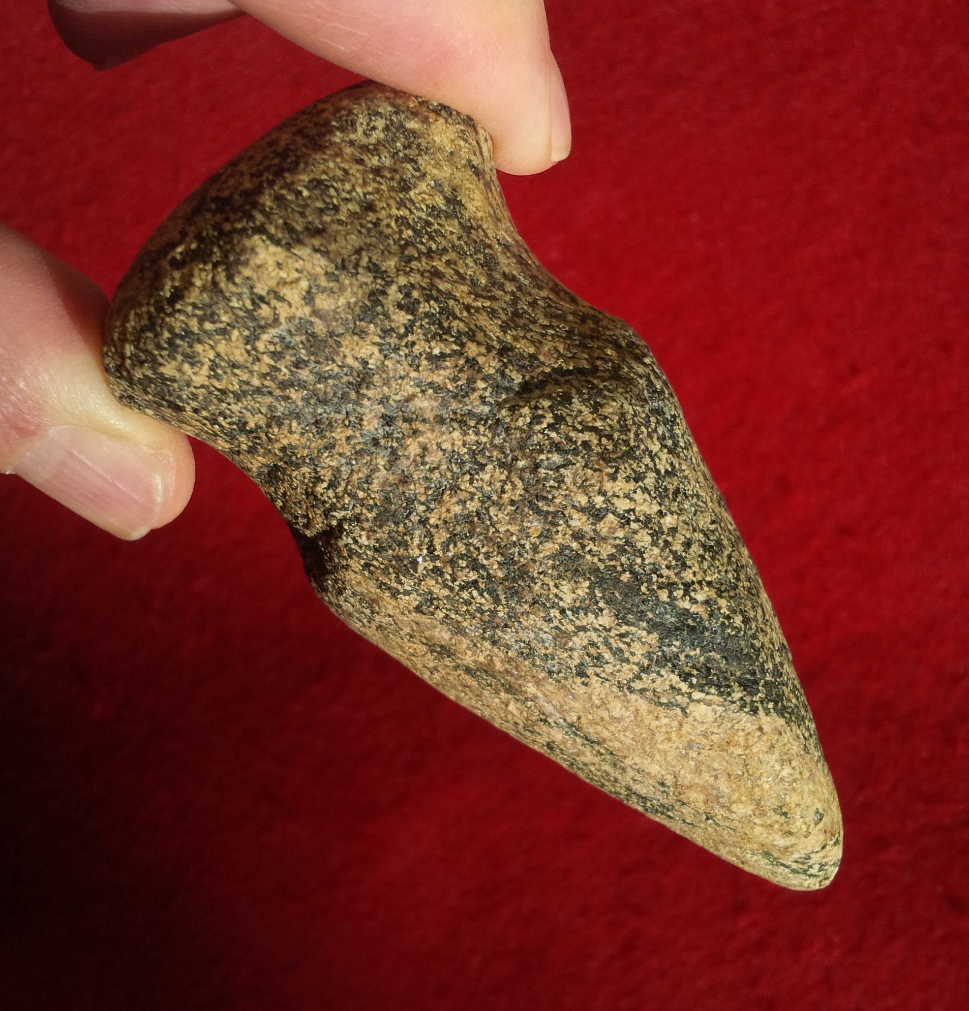 3-5/8" Full Grooved Axe AUTHENTIC INDIANA AXE Stone Axe From an Indiana ...