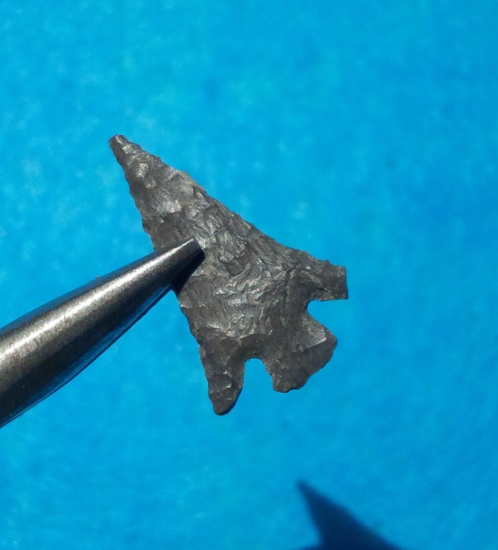 1" Columbia Plateau AUTHENTIC WASHINGTON ARROWHEAD Classic to Historic ...