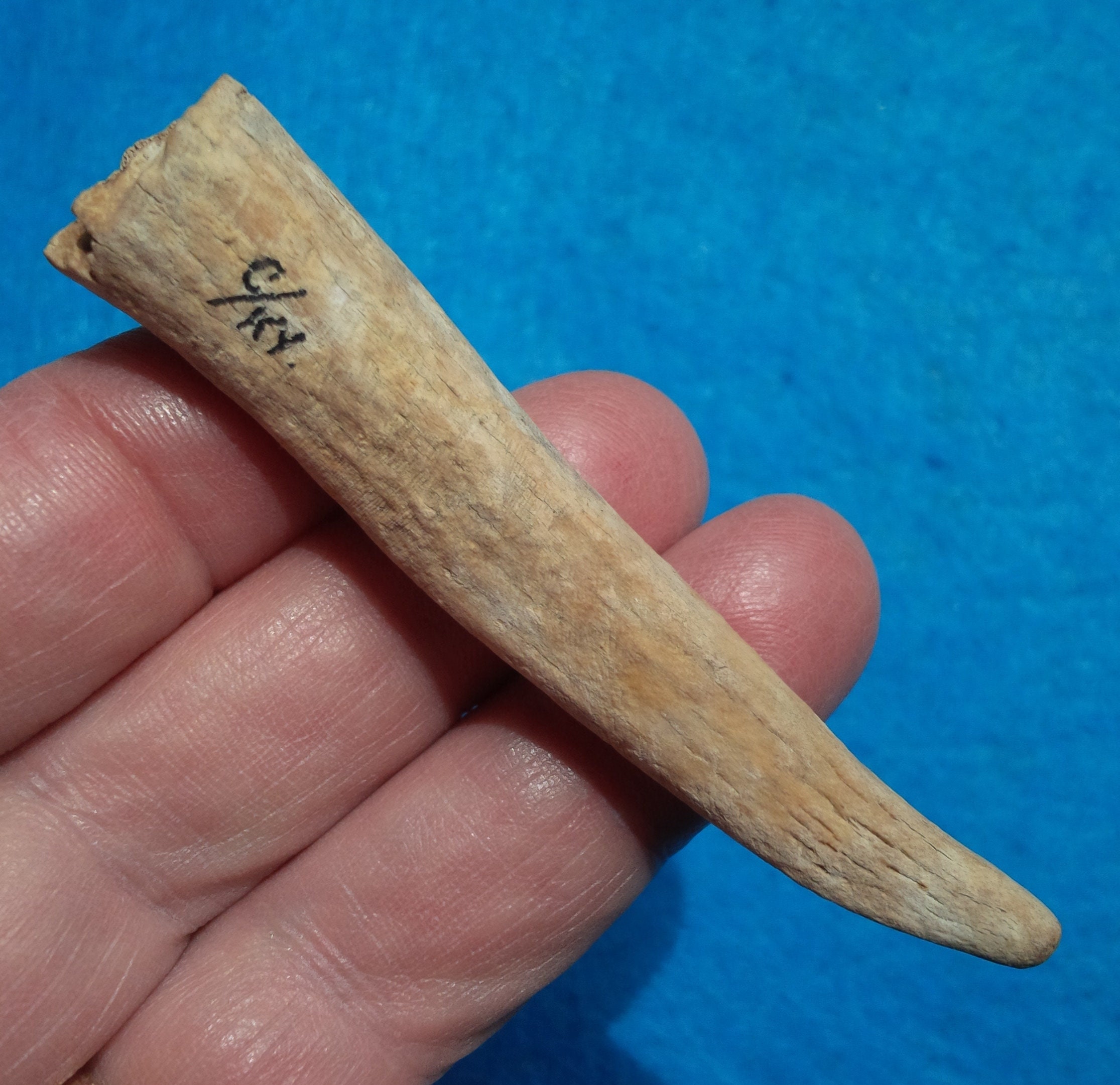 INDIAN BONE AWL 3-1/4" Ancient Bone Awl From a Kentucky Arrowhead Site ...