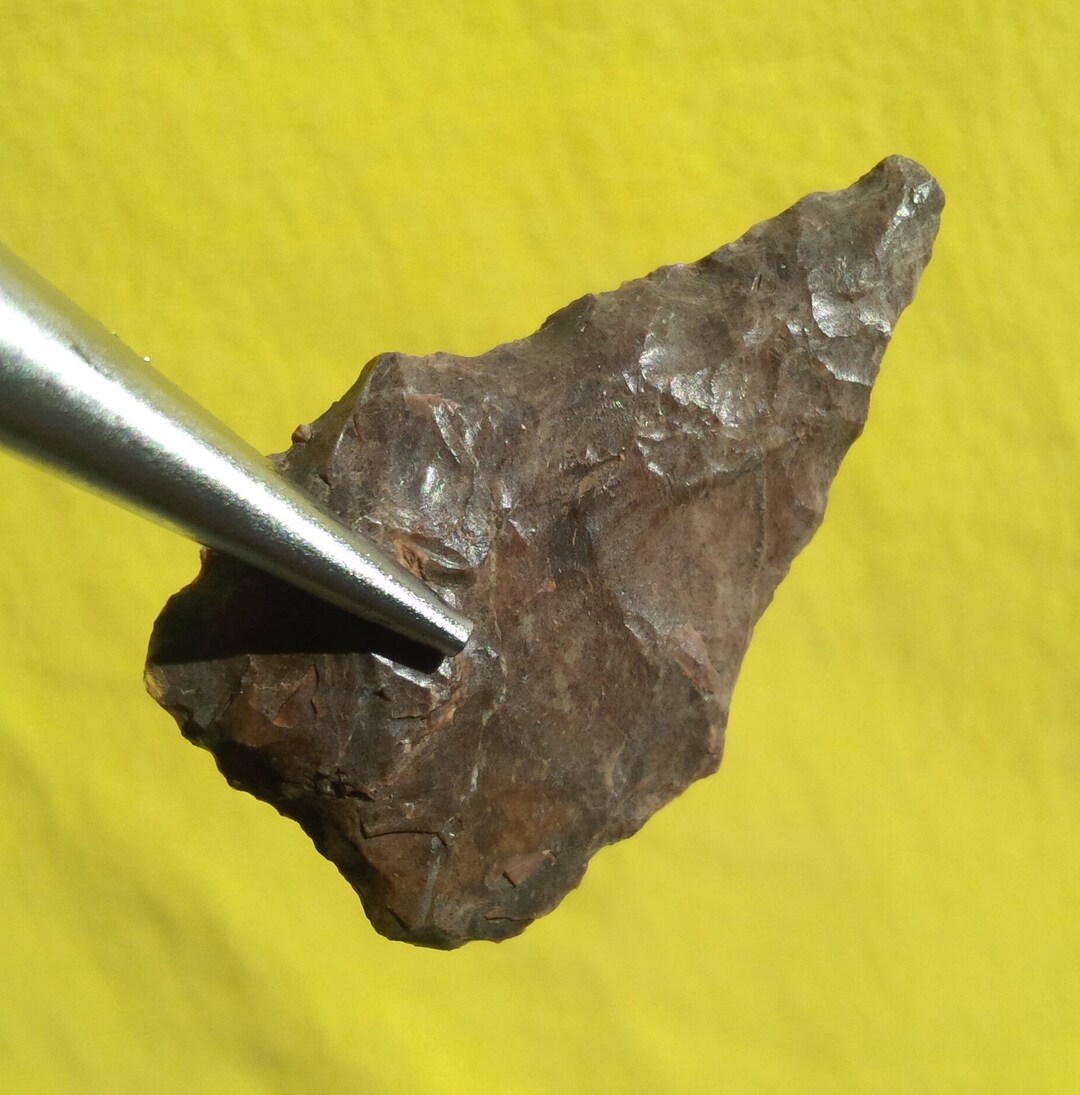 Plateau Pentagonal OREGON ARROWHEAD 1-11/16" AUTHENTIC Plateau ...