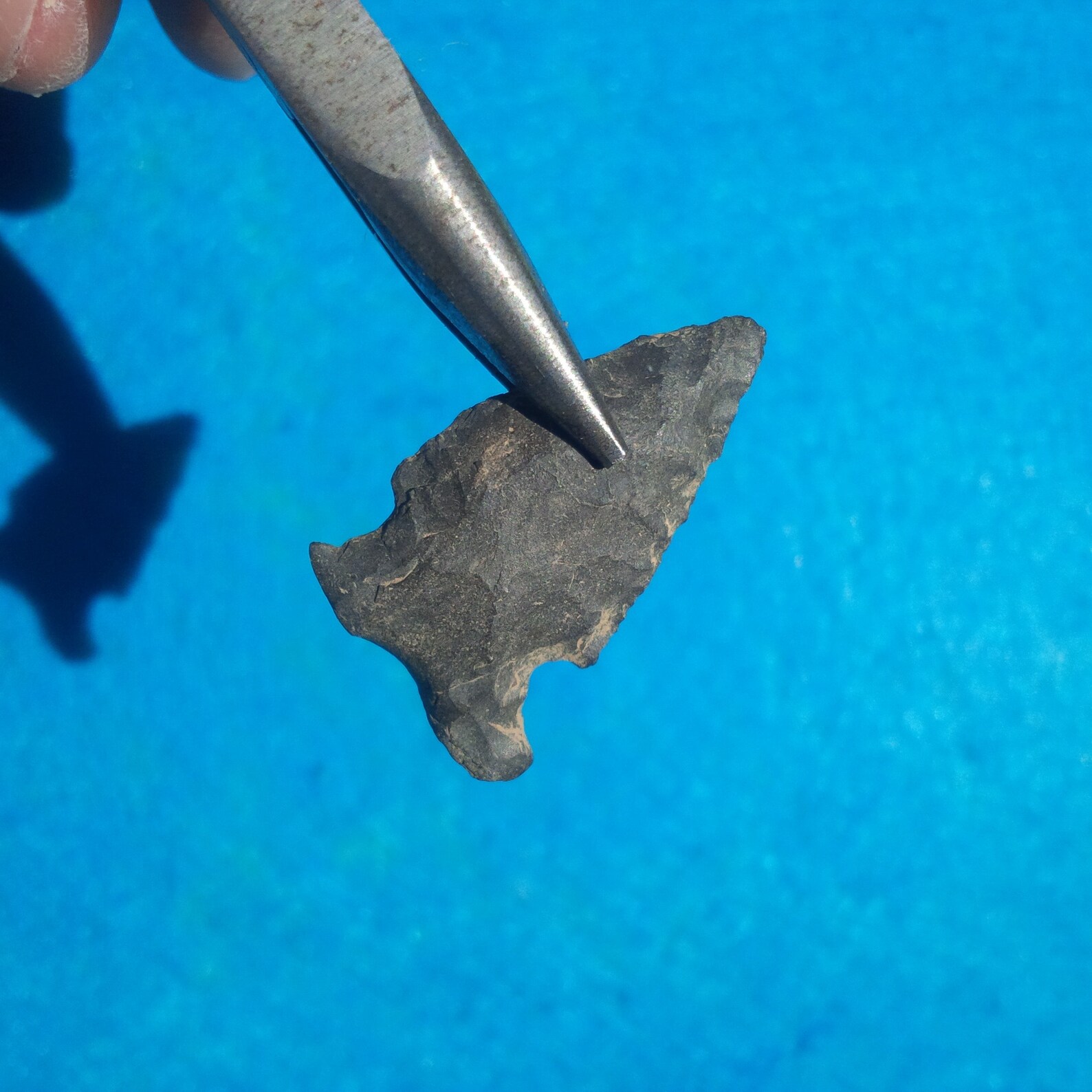 1-1/4" Paleo Hardaway Side Notched AUTHENTIC PENNSYLVANIA ARROWHEAD Transitional Paleo 10,500 ...