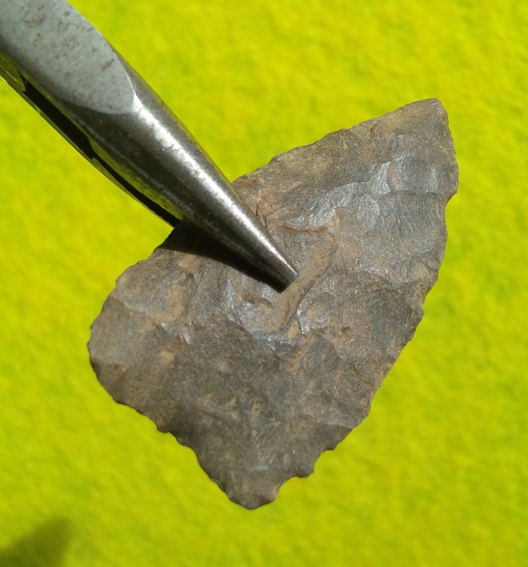 1-5/8" Hardaway Blade AUTHENTIC ALABAMA ARROWHEAD Trans Paleo to Early ...