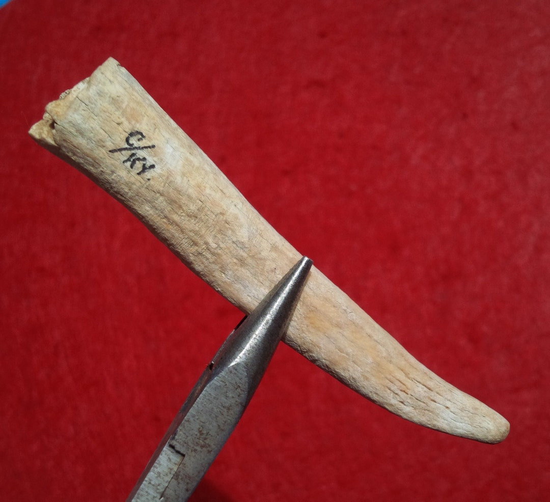 INDIAN BONE AWL 3-1/4" Ancient Bone Awl From a Kentucky Arrowhead Site ...