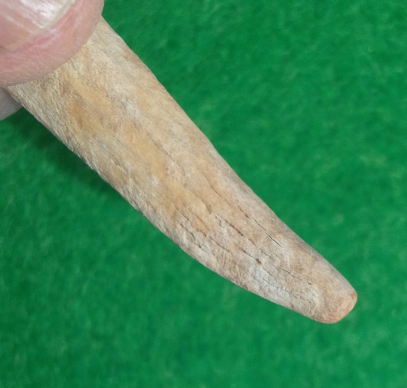 INDIAN BONE AWL 3-1/4" Ancient Bone Awl From a Kentucky Arrowhead Site ...