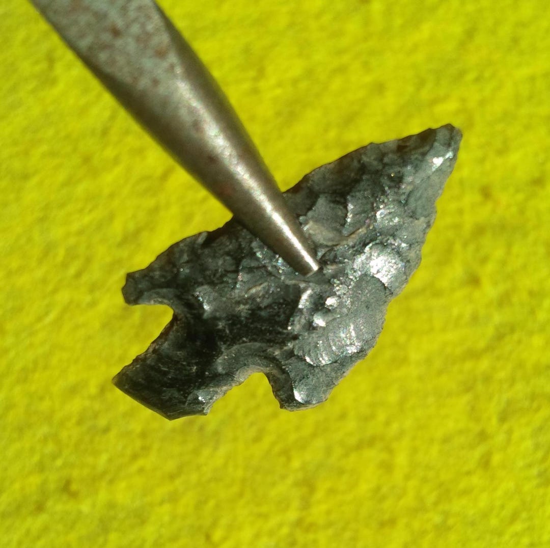 AUTHENTIC WASHINGTON ARROWHEAD 1-3/8" Wallula Dev.-historic Phase 1000 ...