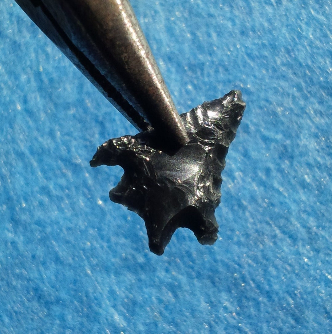 13/16" Elko Eared AUTHENTIC IDAHO ARROWHEAD Late Archaic to ...