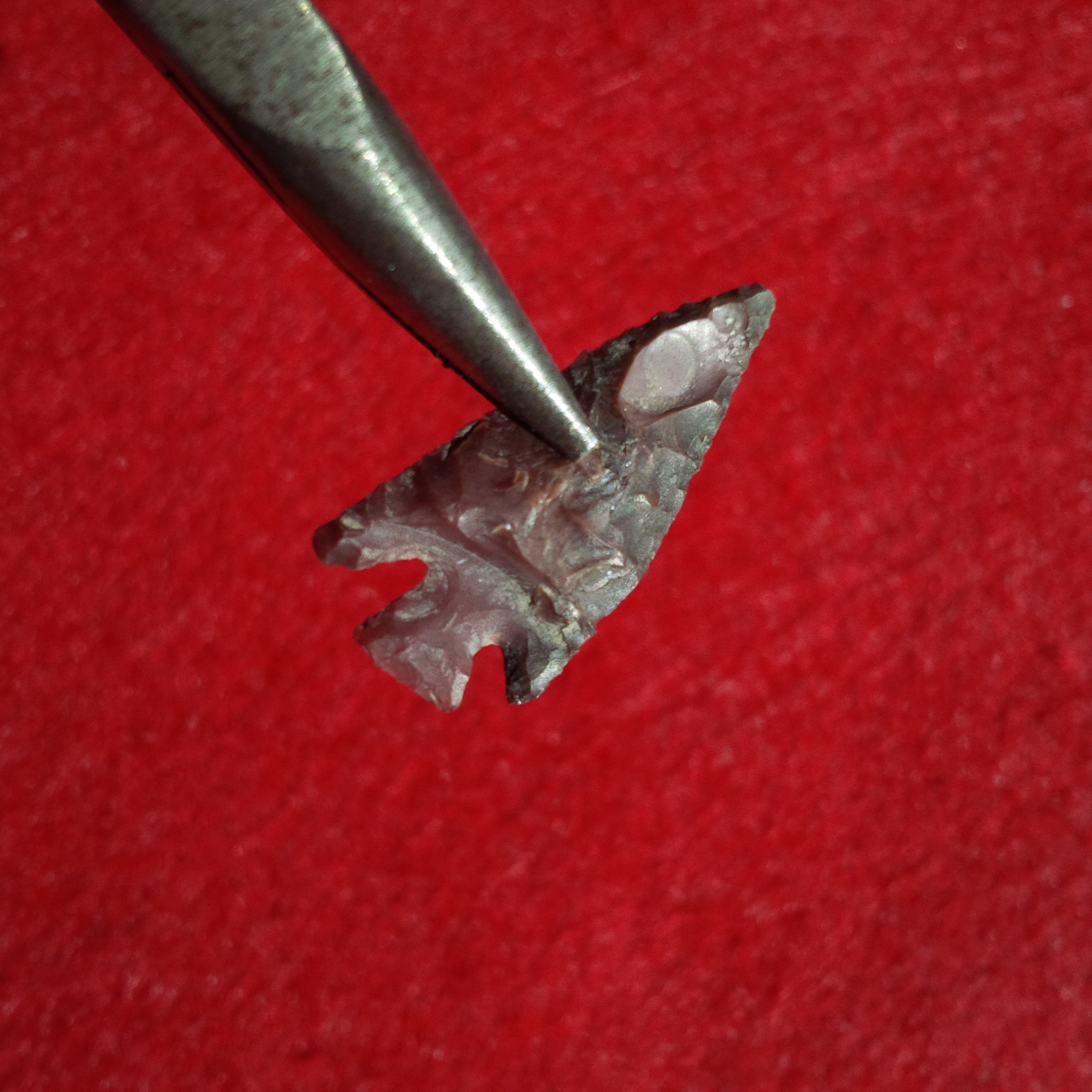 1-1/8" Columbia Plateau AUTHENTIC WASHINGTON ARROWHEAD Classic to ...