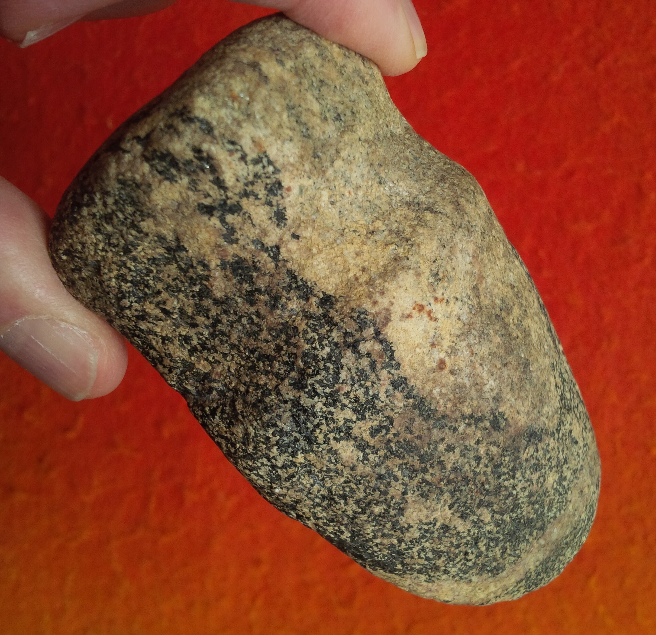 3-5/8" Full Grooved Axe AUTHENTIC INDIANA AXE Stone Axe From an Indiana ...