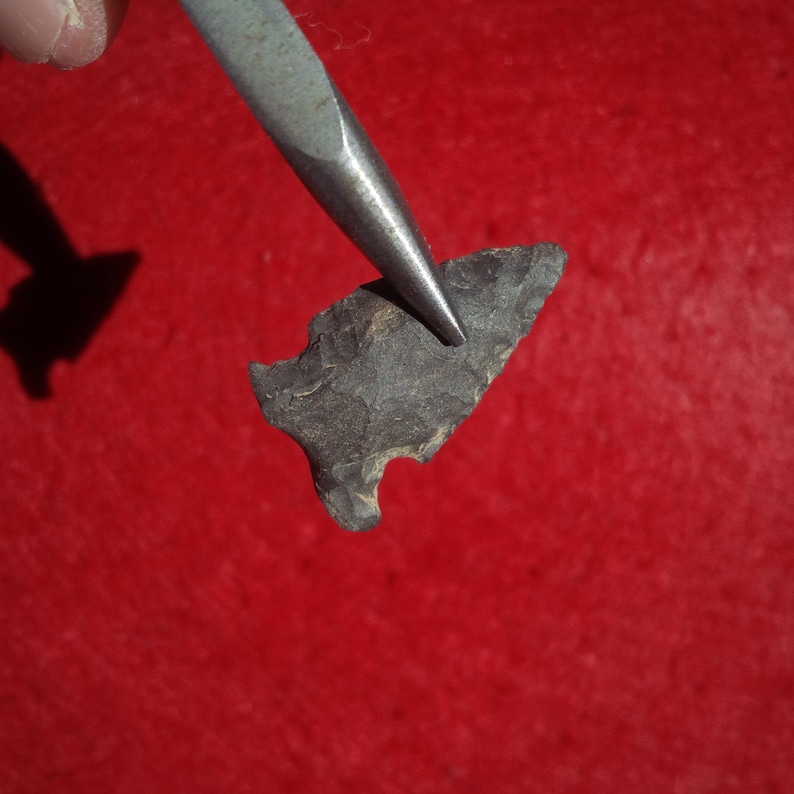 1-1/4" Paleo Hardaway Side Notched AUTHENTIC PENNSYLVANIA ARROWHEAD ...