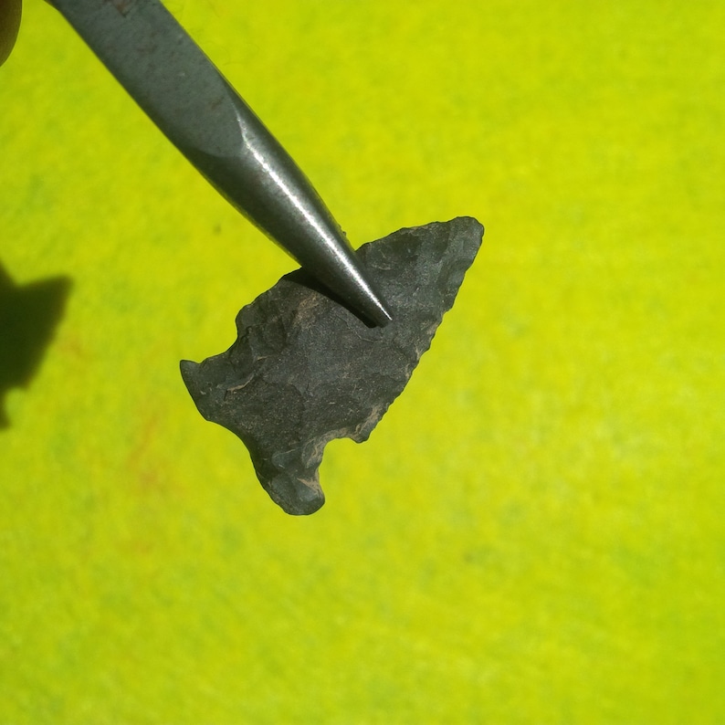 1-1/4" Paleo Hardaway Side Notched AUTHENTIC PENNSYLVANIA ARROWHEAD Transitional Paleo 10,500 ...