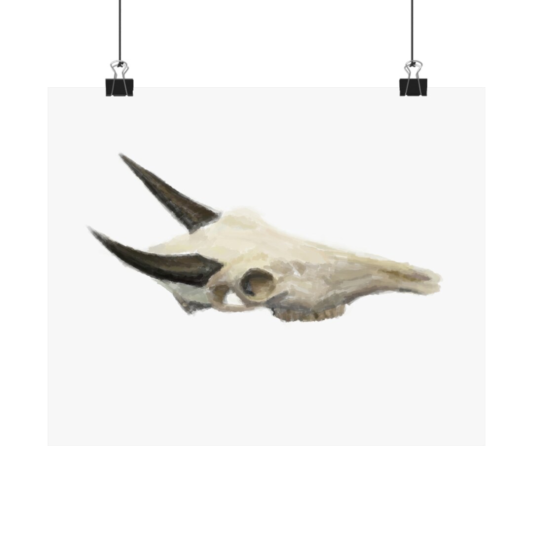 Nilgai Skull Print - Etsy