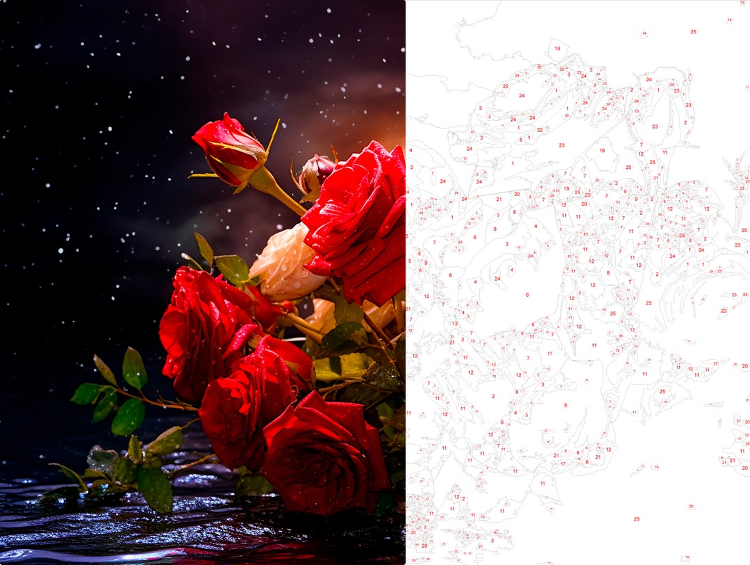 Red Roses Flower Bouquet Paint by Number PBN Color by Number Paint by ...