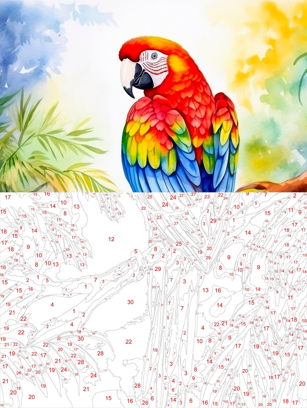 Parrot Paint by Number PBN Color by Number Paint by Number Kit Acrylic ...