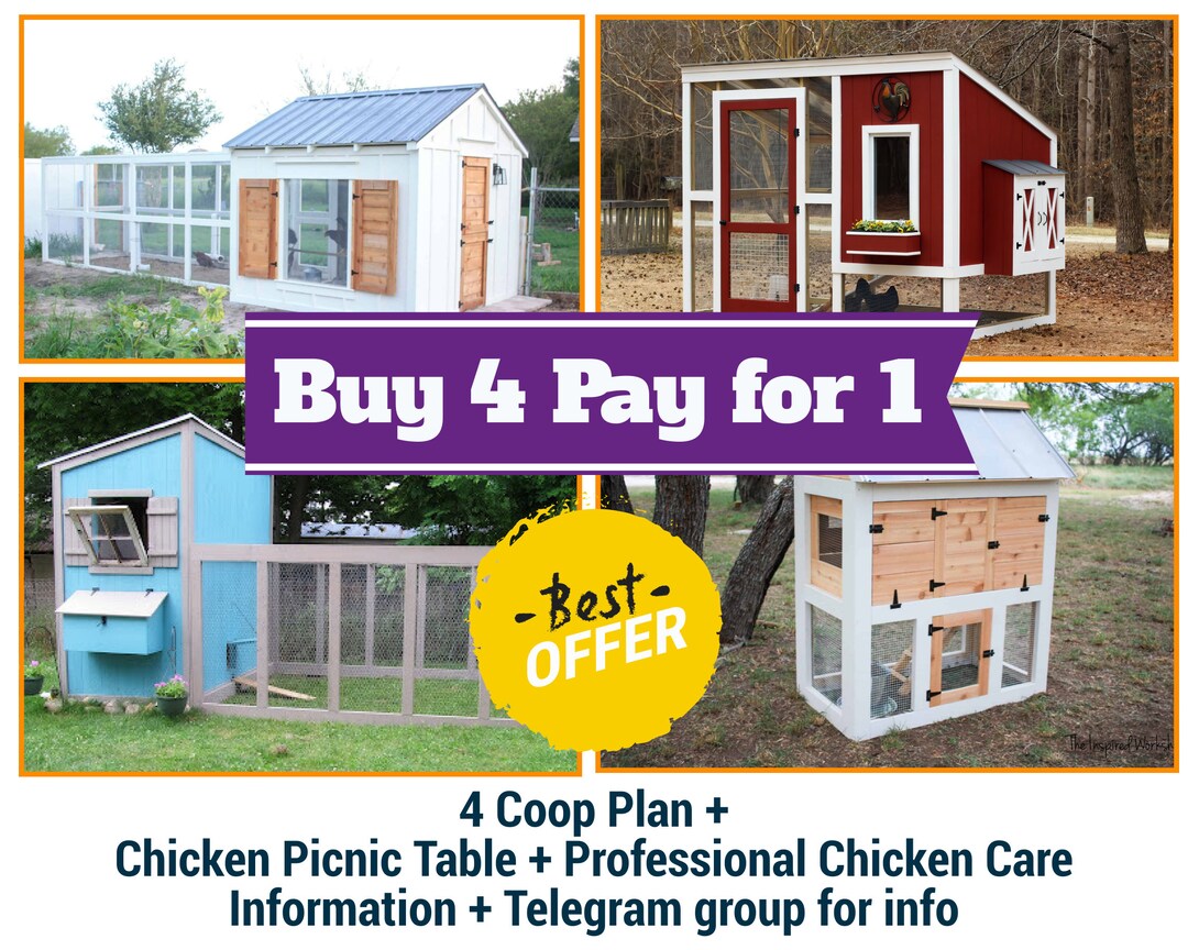 4 Chicken Coop Plan Chicken Picnic Table Basic Chicken - Etsy