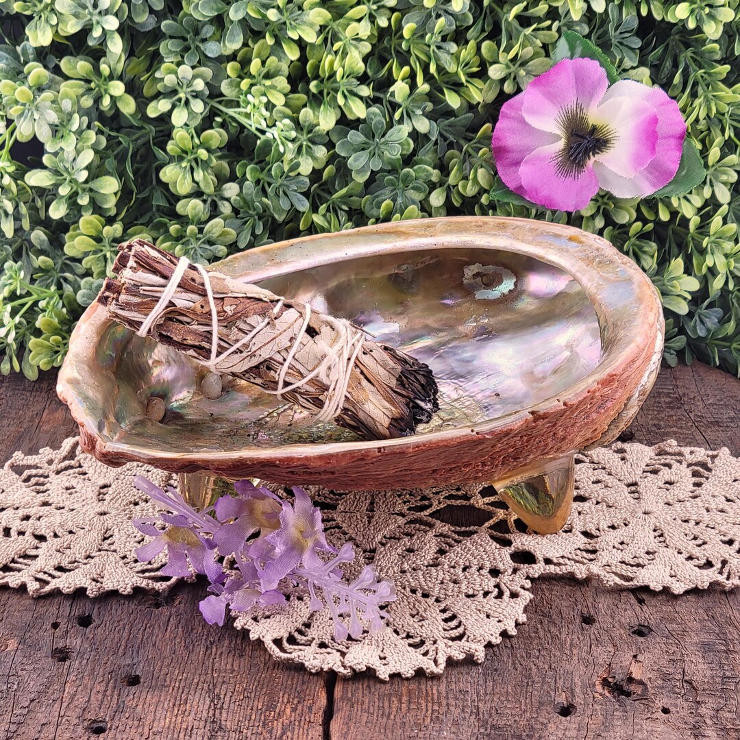 Vintage Abalone Shell Burn Bowl – Ritual Smudging Dish – Offering Bowl ...