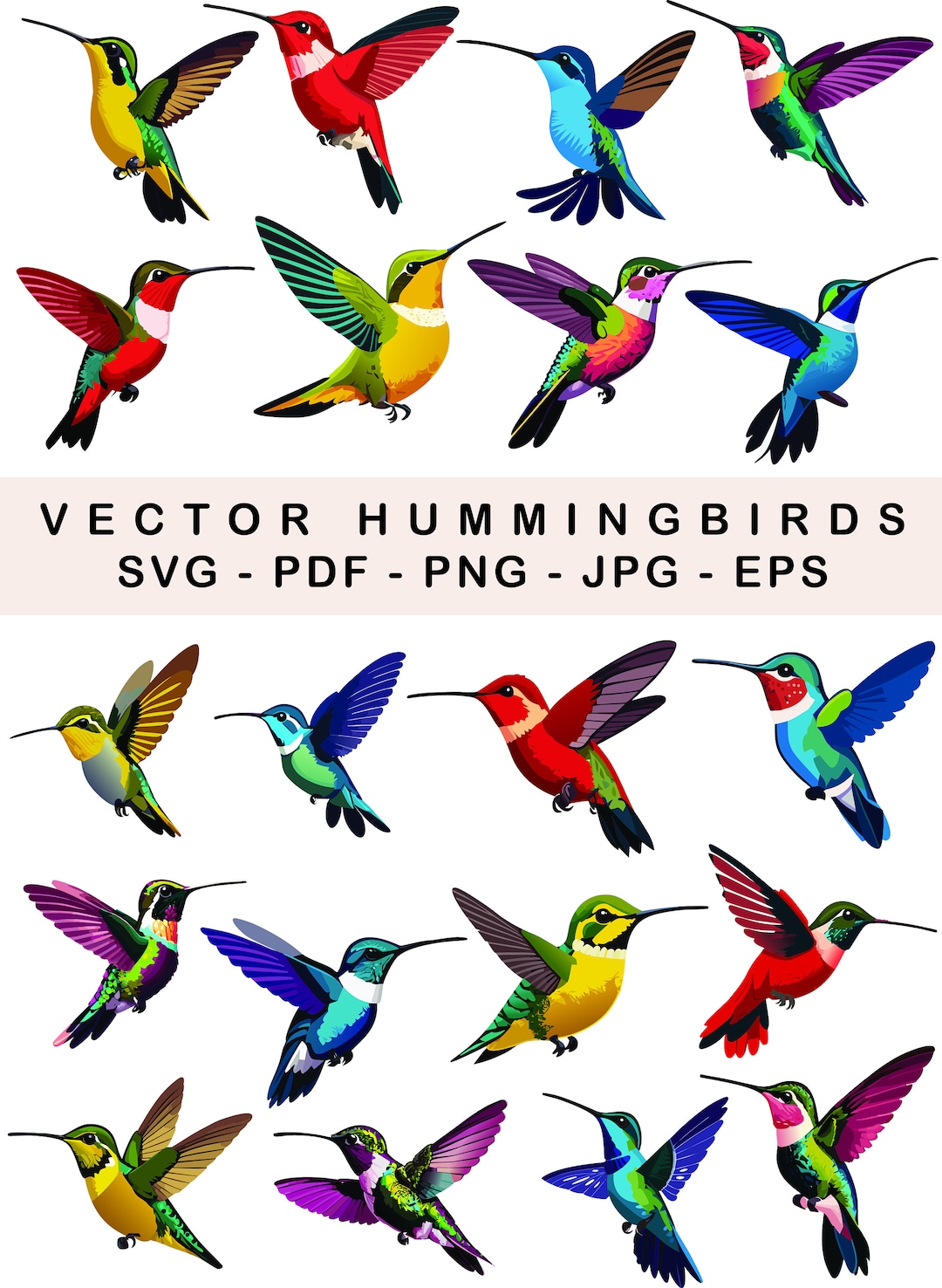 Beautiful Vector Hummingbird Artwork Bundle, 20 Hummingbirds Bundle ...