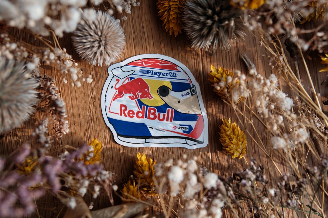 Max Verstappen MV1 MV33 2024 Helmet Sticker Formula One F1 2024 Driver ...