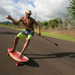 Longboard Land Paddle - Kahuna Big Sticks - SUP - Multiple Stick and ...