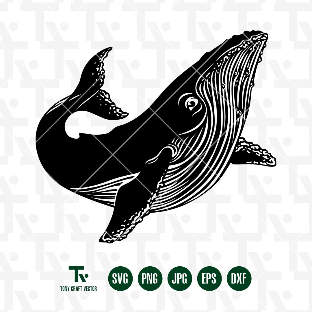 Whale Svg Whale Clipart Svg Cut File for Cricut Silhouette Sea Animal ...