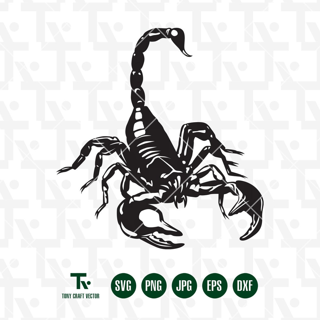 Scorpion Svg Scorpio Scorpion Design Svg Png Dxf Pdf Eps Vector Graphic ...