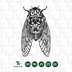 Cicada SVG Cicada Clipart Svg Cut File for Cricut Silhouette Bug Svg ...