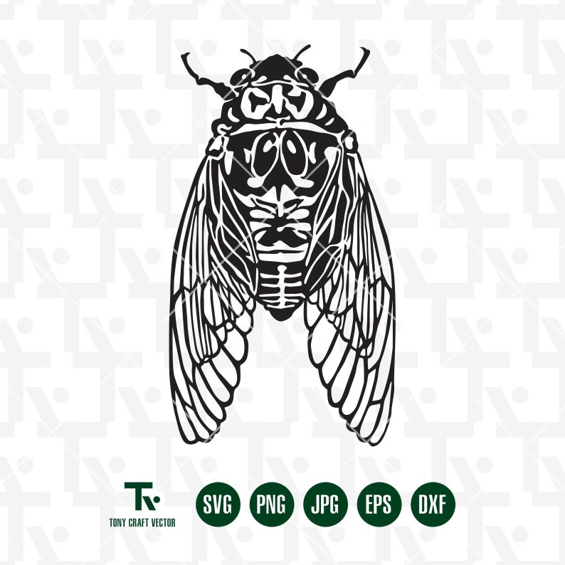 Cicada SVG Cicada Clipart Svg Cut File for Cricut Silhouette Bug Svg ...