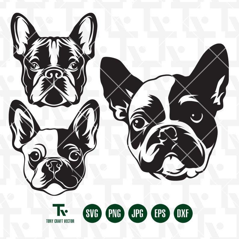 French Bulldog Svg Set French Bulldog Vector French Bulldog File for ...
