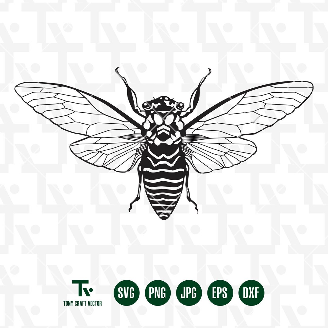 Cicada Svg Cicada Tattoo Cicada Printable Digital Download Clipart Svg ...