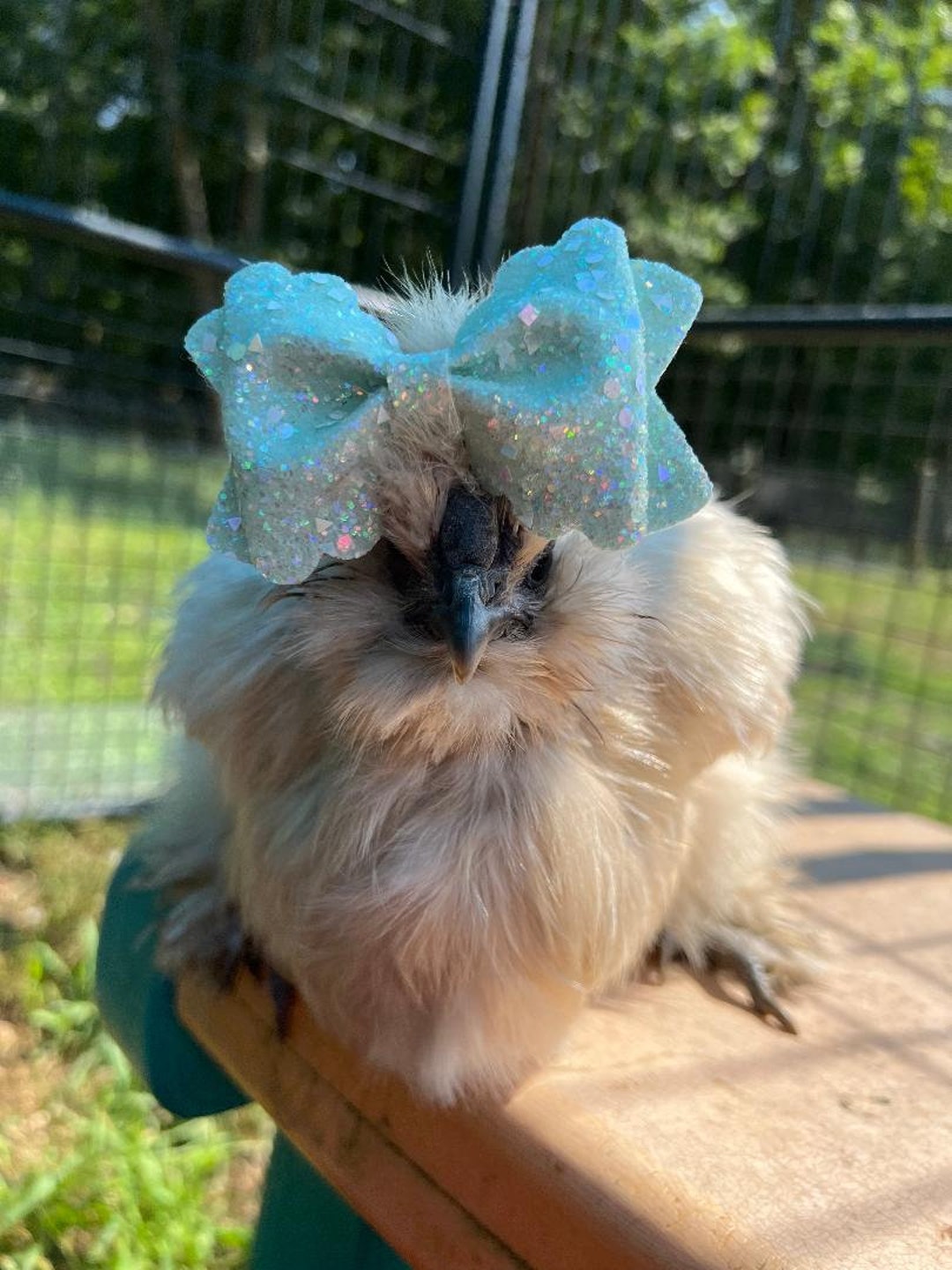 Medium Size Silkie Chicken Hair Bows - Etsy