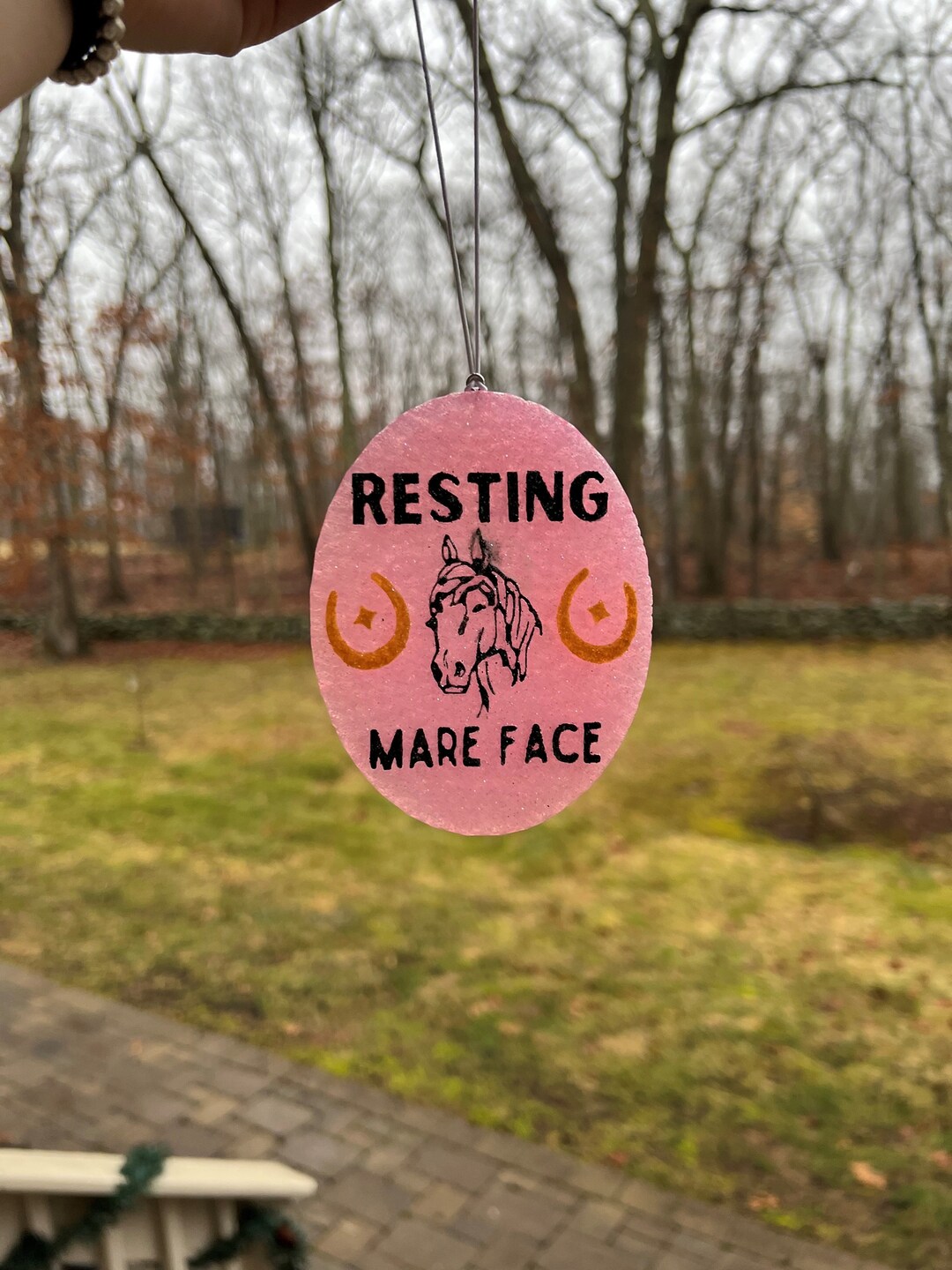 Resting Mare Face Horse Freshie - Etsy