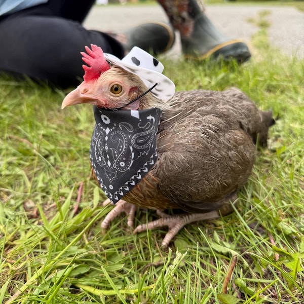 Chicken Jockey Costume - Etsy