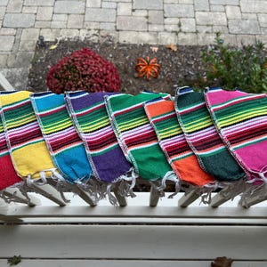 Fiesta Costume for Chickens & Ducks - Etsy