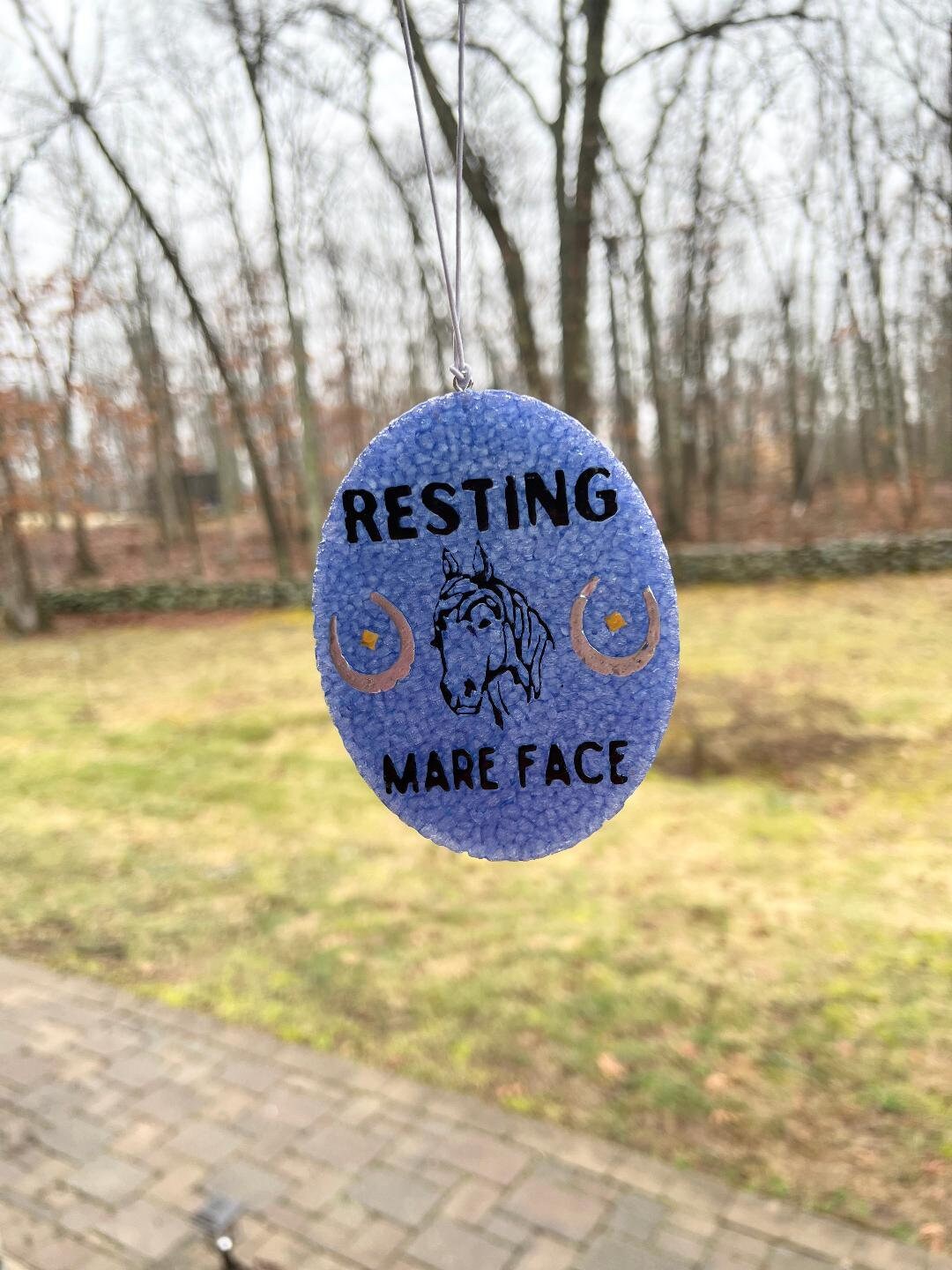 Resting Mare Face Horse Freshie - Etsy