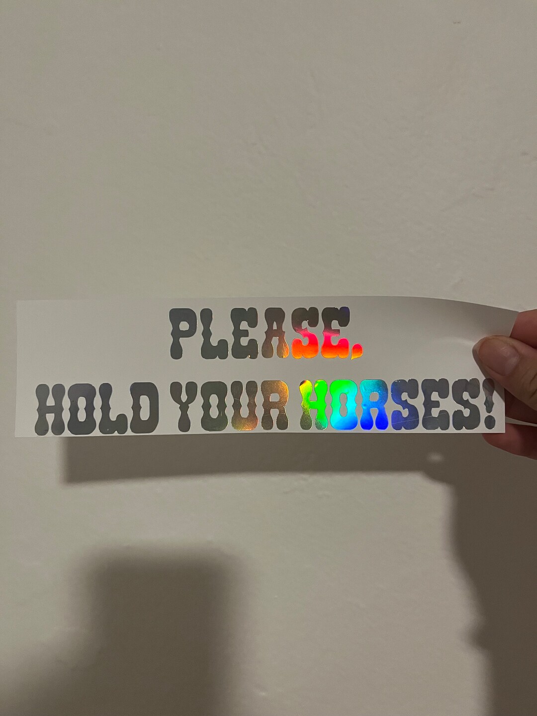 Please, Hold Your Horses/funny Car Decal/bumper Sticker - Etsy