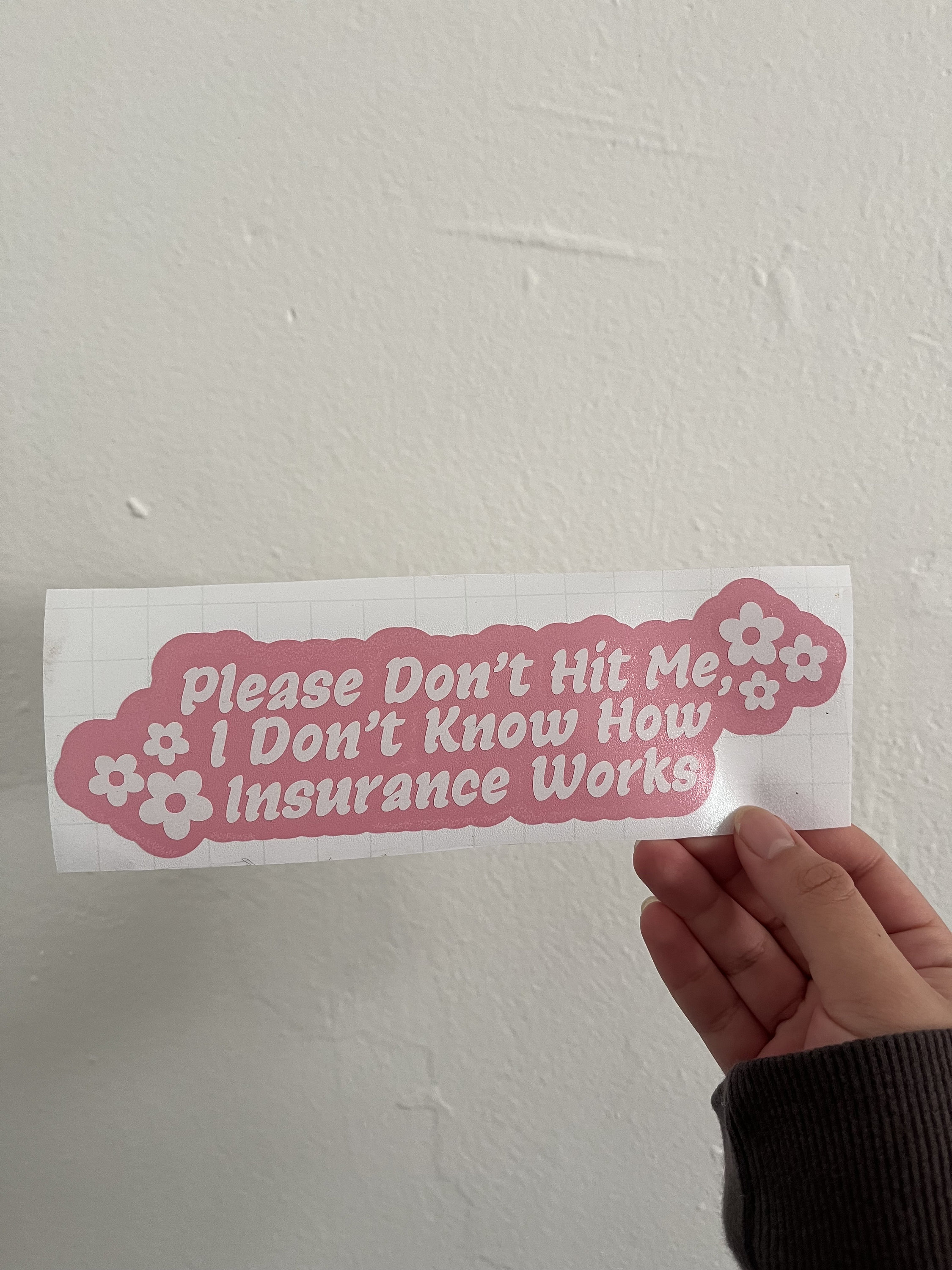 Please Dont Hit Me/funny Car Decal/bumper Sticker - Etsy