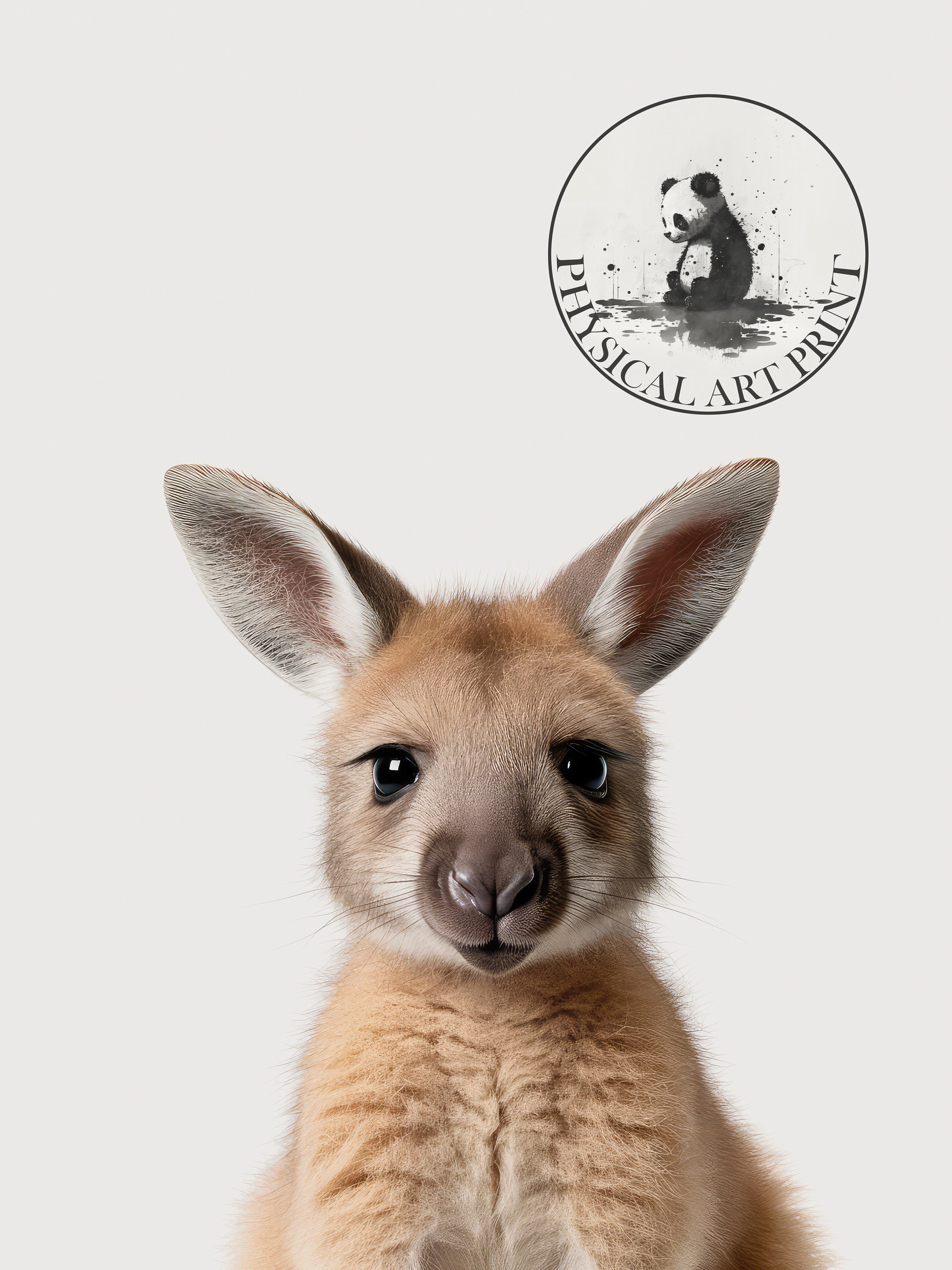 Baby Kangaroo Wall Art - PHYSICAL PRINT , Animal Illustration, Nursery ...