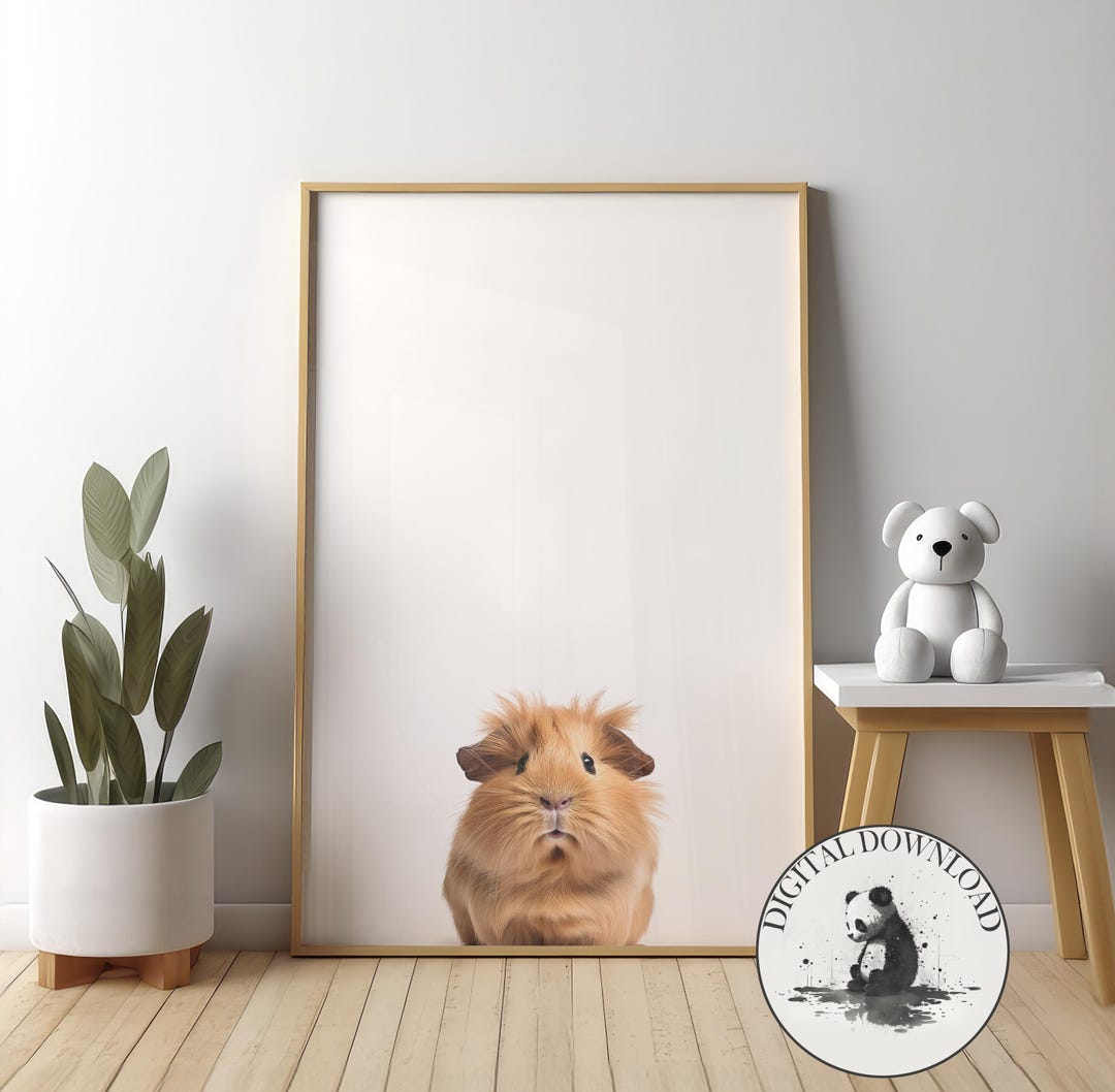 Guinea Pig Wall Art - DIGITAL DOWNLOAD, Cute Guinea Pig Illustration ...