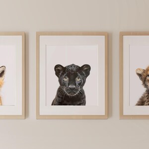 Baby Panther Wall Art - DIGITAL DOWNLOAD, Cute Baby Panther ...