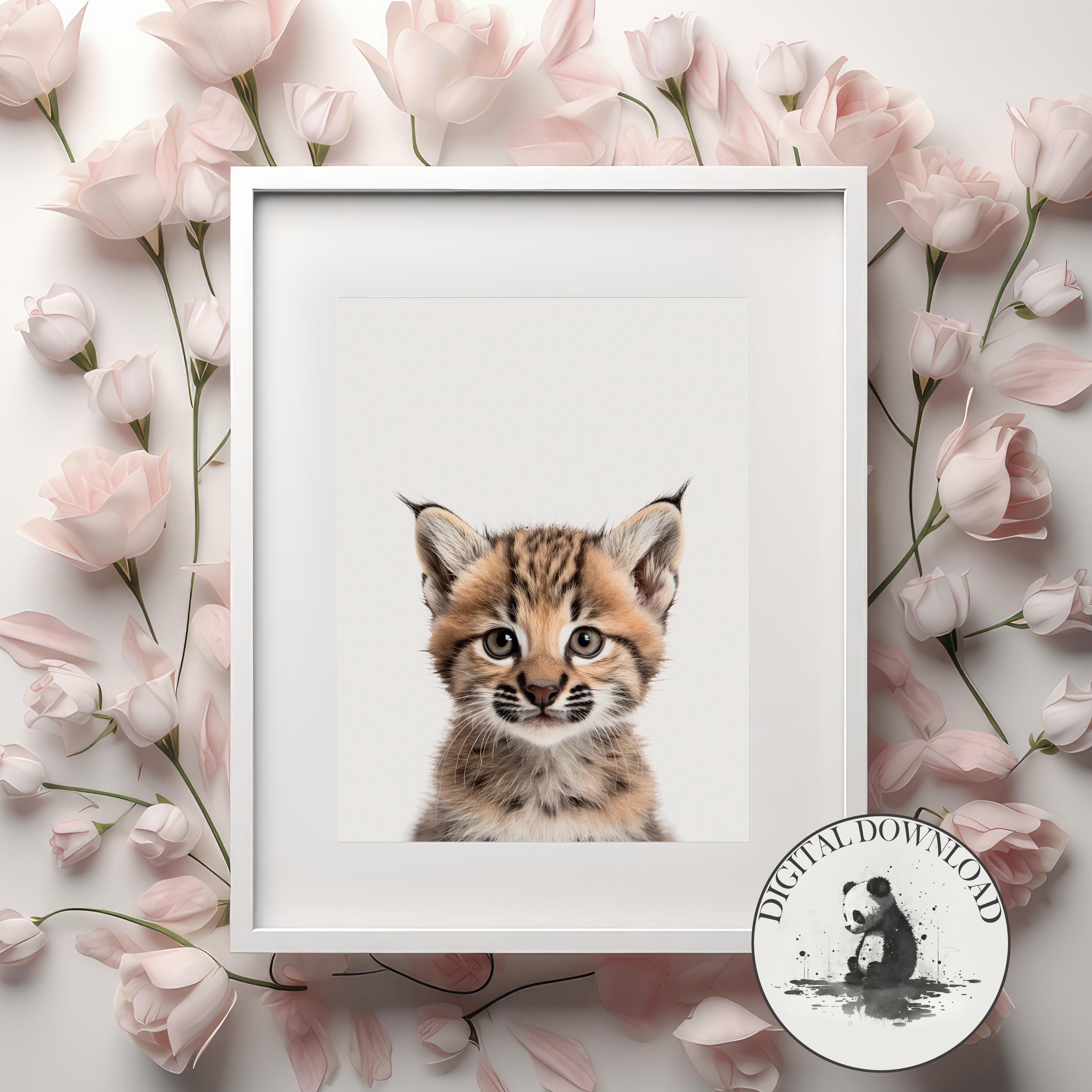 Baby Bobcat Wall Art - DIGITAL DOWNLOAD, Cute Baby Bobcat Illustration ...