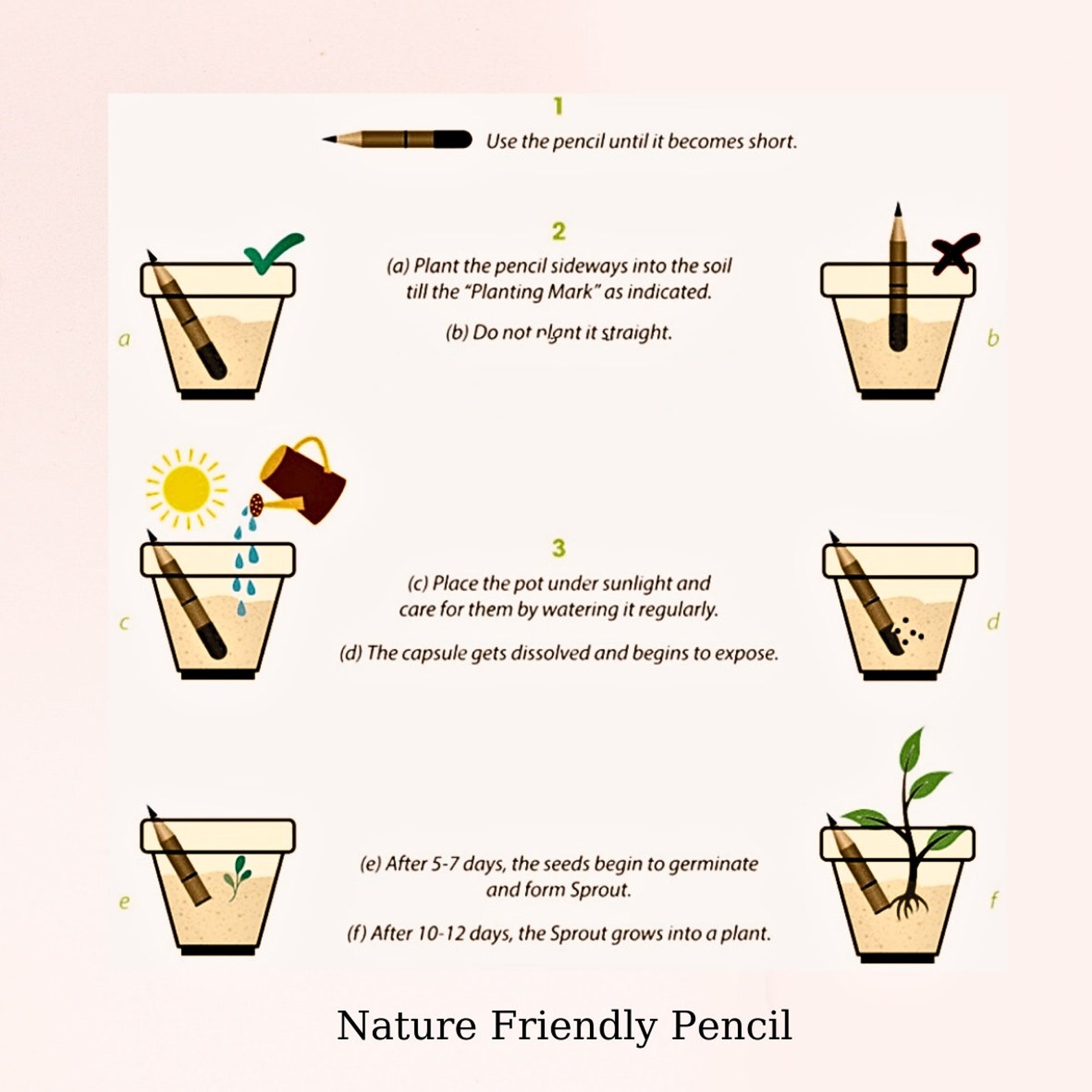 Personalized Seed Pen Thank You Favors Plantable Favor for Wedding ...