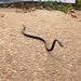 Hand Forged Iron Rebar Snake, Steel Snake Sculpture Decor, Yard Art ...