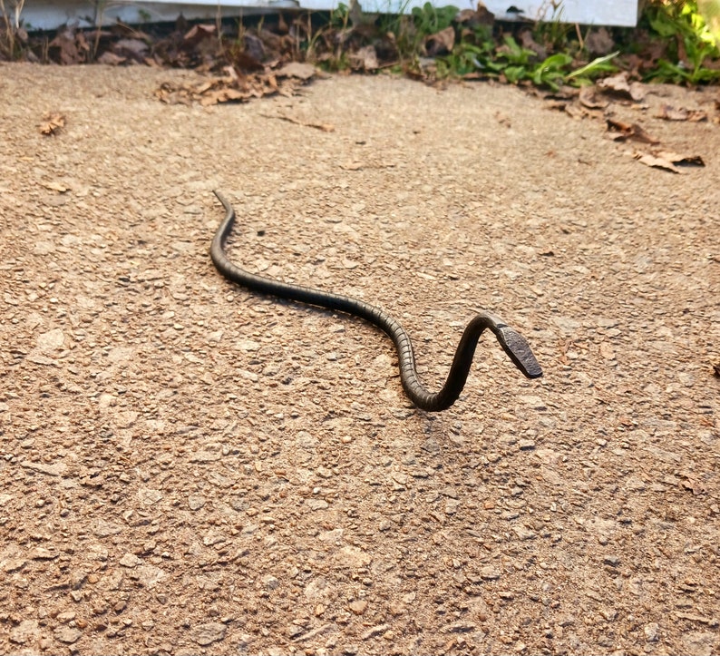 Hand Forged Iron Rebar Snake, Steel Snake Sculpture Decor, Yard Art ...