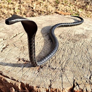 Hand Forged Iron Rebar King Cobra Snake, Blacksmith Made, Steel Snake ...
