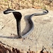 Hand Forged Iron Rebar King Cobra Snake, Blacksmith Made, Steel Snake ...