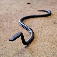 Hand Forged Iron Rebar King Cobra Snake, Blacksmith Made, Steel Snake ...
