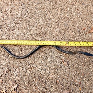 Hand Forged Iron Rebar Snake, Steel Snake Sculpture Decor, Yard Art ...