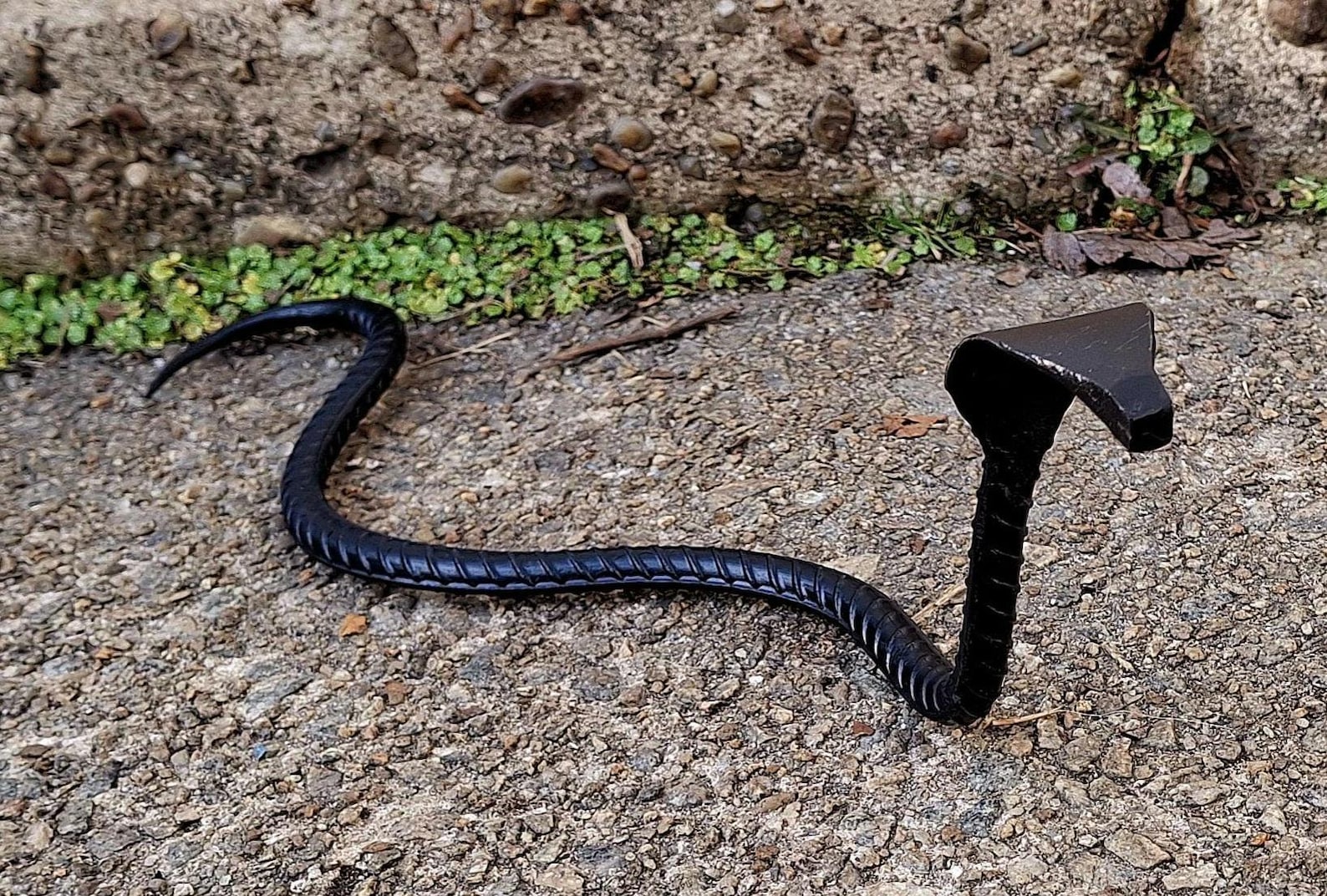 Hand Forged Iron Rebar King Cobra Snake, Blacksmith Made, Steel Snake ...