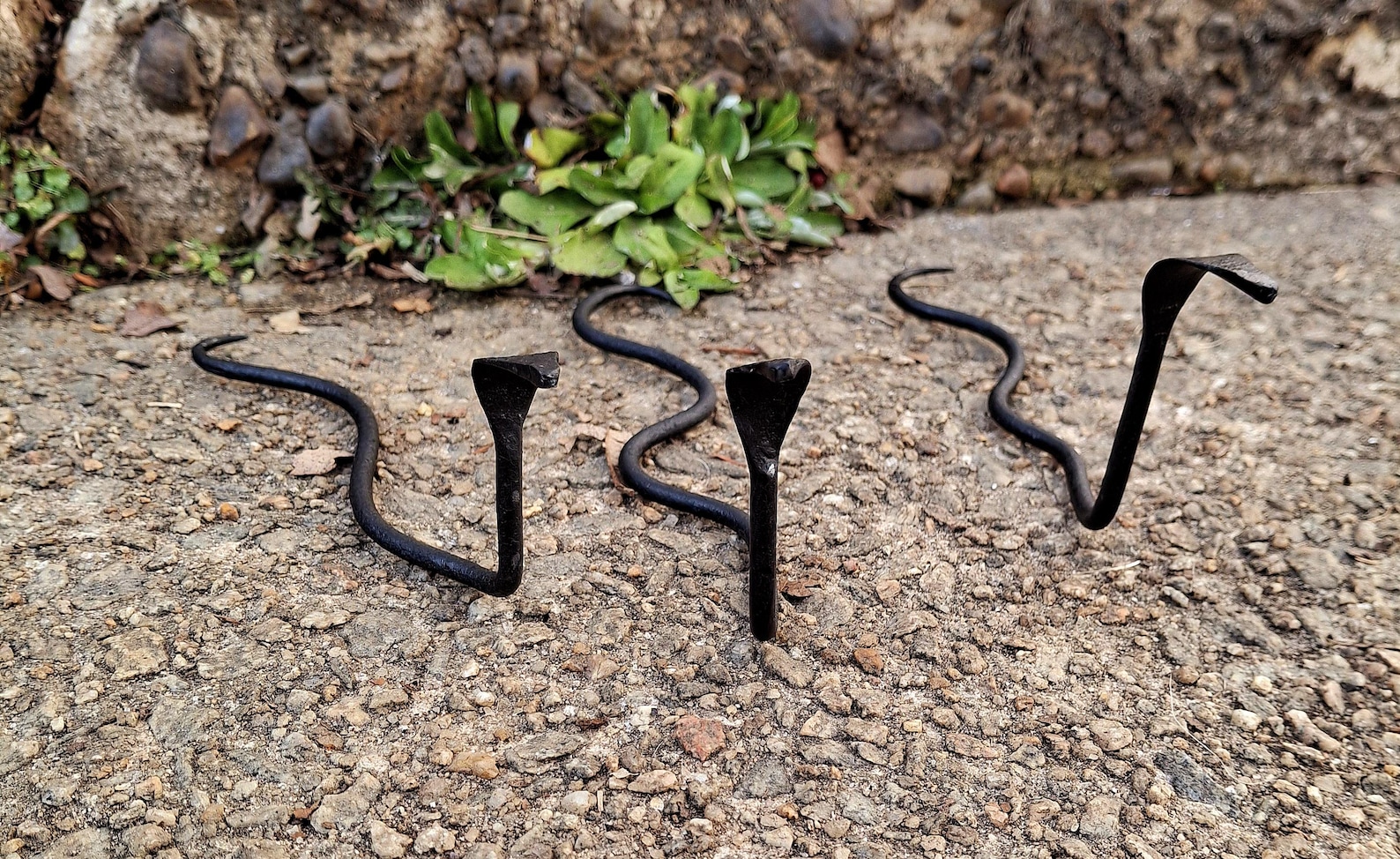 Hand Forged Iron Miniature King Cobra Snake, Blacksmith Made, Steel ...