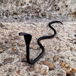 Hand Forged Iron Miniature King Cobra Snake, Blacksmith Made, Steel ...