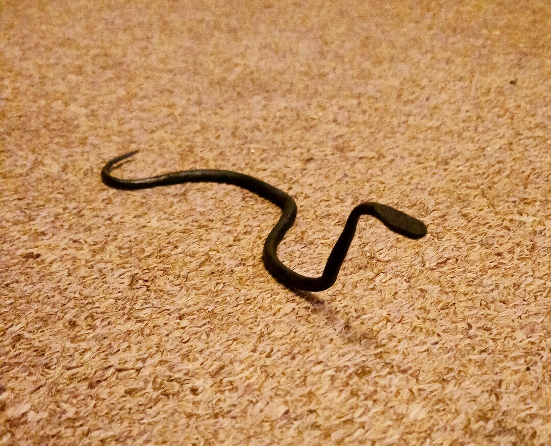 Hand Forged Iron Mini Snake, Steel Snake Sculpture Statue Decor, Animal ...